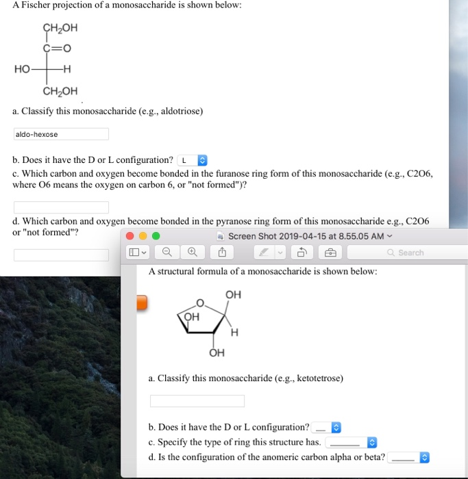 Solved A Fischer projection of a monosaccharide is shown | Chegg.com