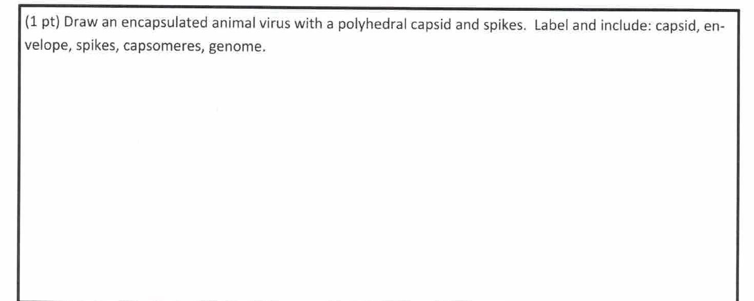 Solved (1 pt) Draw an encapsulated animal virus with a | Chegg.com