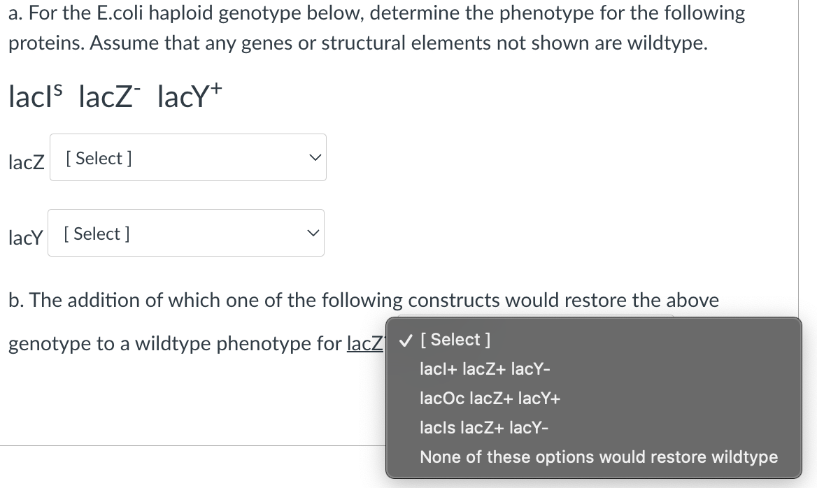 Solved a. For the E.coli haploid genotype below, determine | Chegg.com