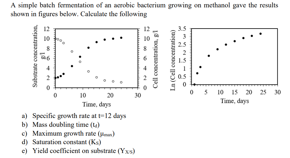 A simple batch fermentation of an aerobic bacterium | Chegg.com
