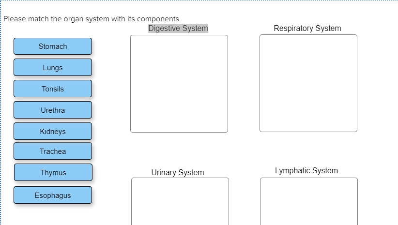 Solved Please match the organ system with its components. | Chegg.com Solved Please match the organ system with its components. | Chegg.com