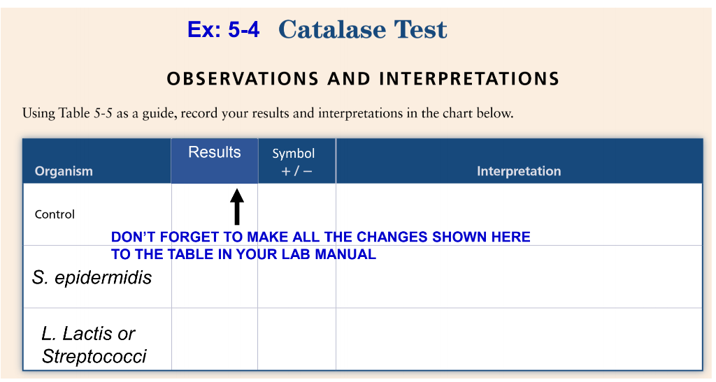 Solved Ex: 5-4 Catalase Test OBSERVATIONS AND | Chegg.com