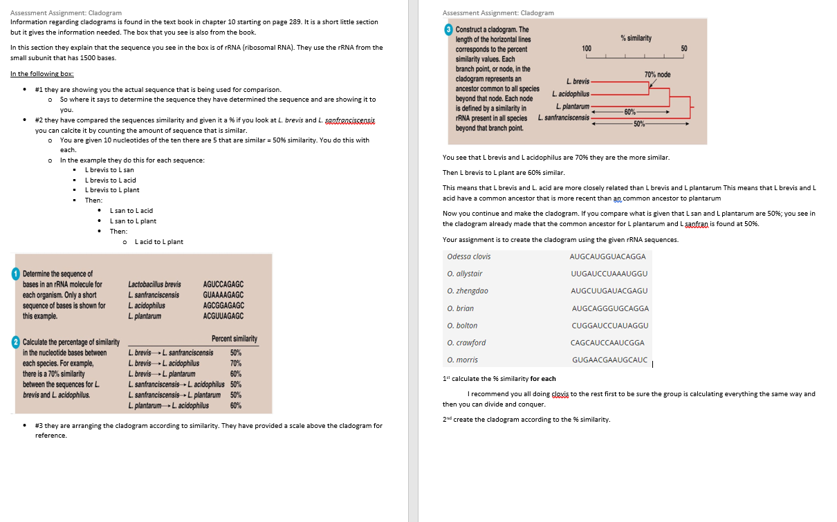 Solved Assessment Assignment: Cladogram Assessment | Chegg.com Solved Assessment Assignment: Cladogram Assessment | Chegg.com