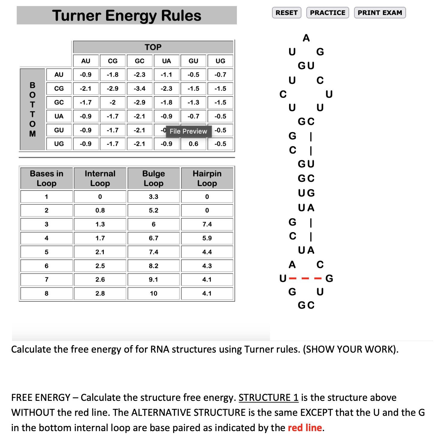 Solved Turner Energy RulesCalculate the free energy of for | Chegg.com