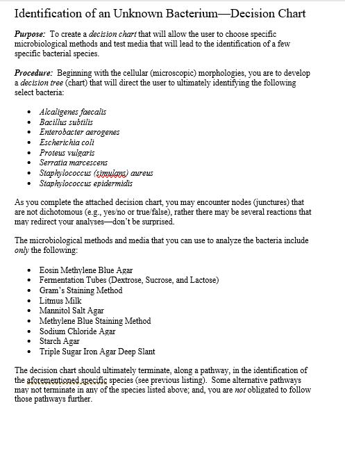 Solved Identification of an Unknown Bacterium Decision Chart | Chegg.com