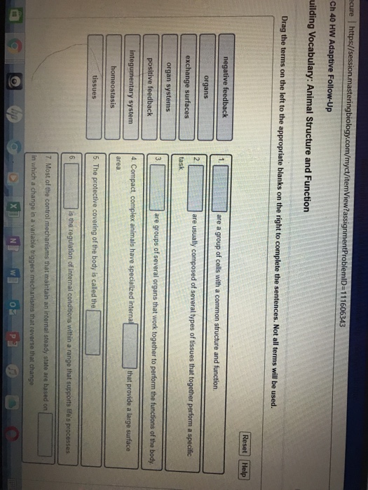Solved bio ID-111 Ch 40 HW Adaptive Follow-Up uilding | Chegg.com