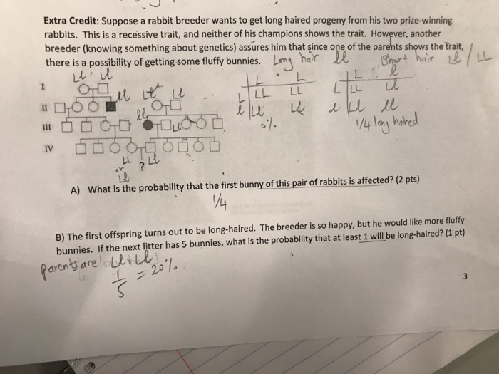 Solved Extra Credit: Suppose a rabbit breeder wants to get | Chegg.com