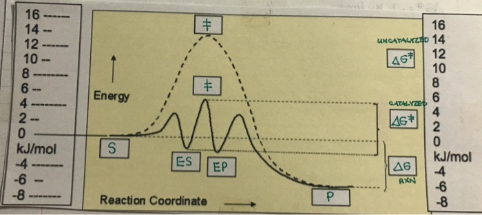 Solved For the specific diagram shown below, what is delta g | Chegg.com