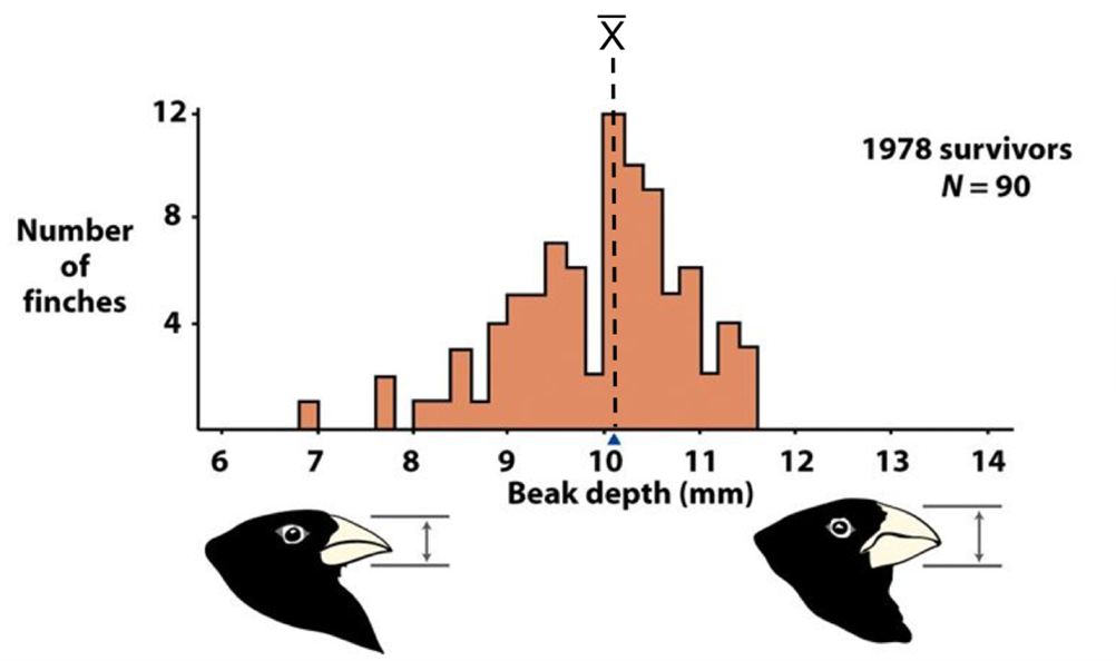 Solved Determine the following statistics for the 1978 | Chegg.com