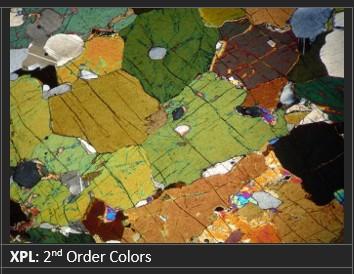 Solved XPL: Masked 2nd Order Colors XPL: Anomalous | Chegg.com