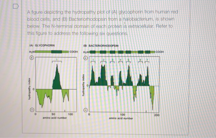 Solved A figure depicting the hydropathy plot of blood | Chegg.com