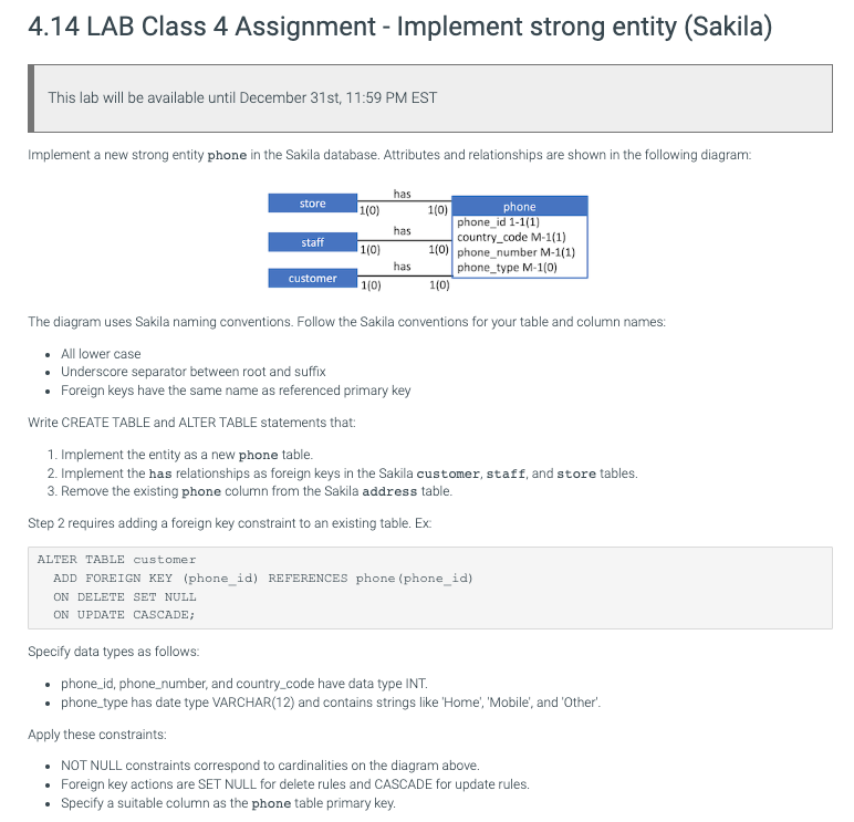 Solved 4.14 LAB Class 4 Assignment - Implement strong entity | Chegg.com