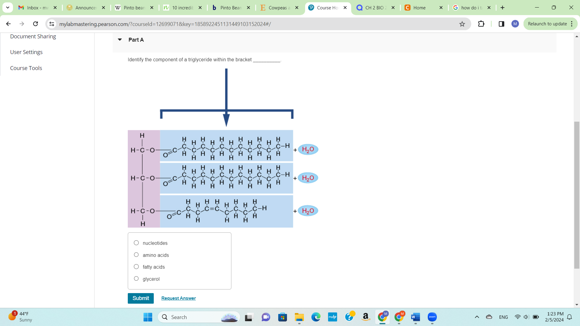 Solved -HIdentify the component of a triglyceride within the | Chegg.com