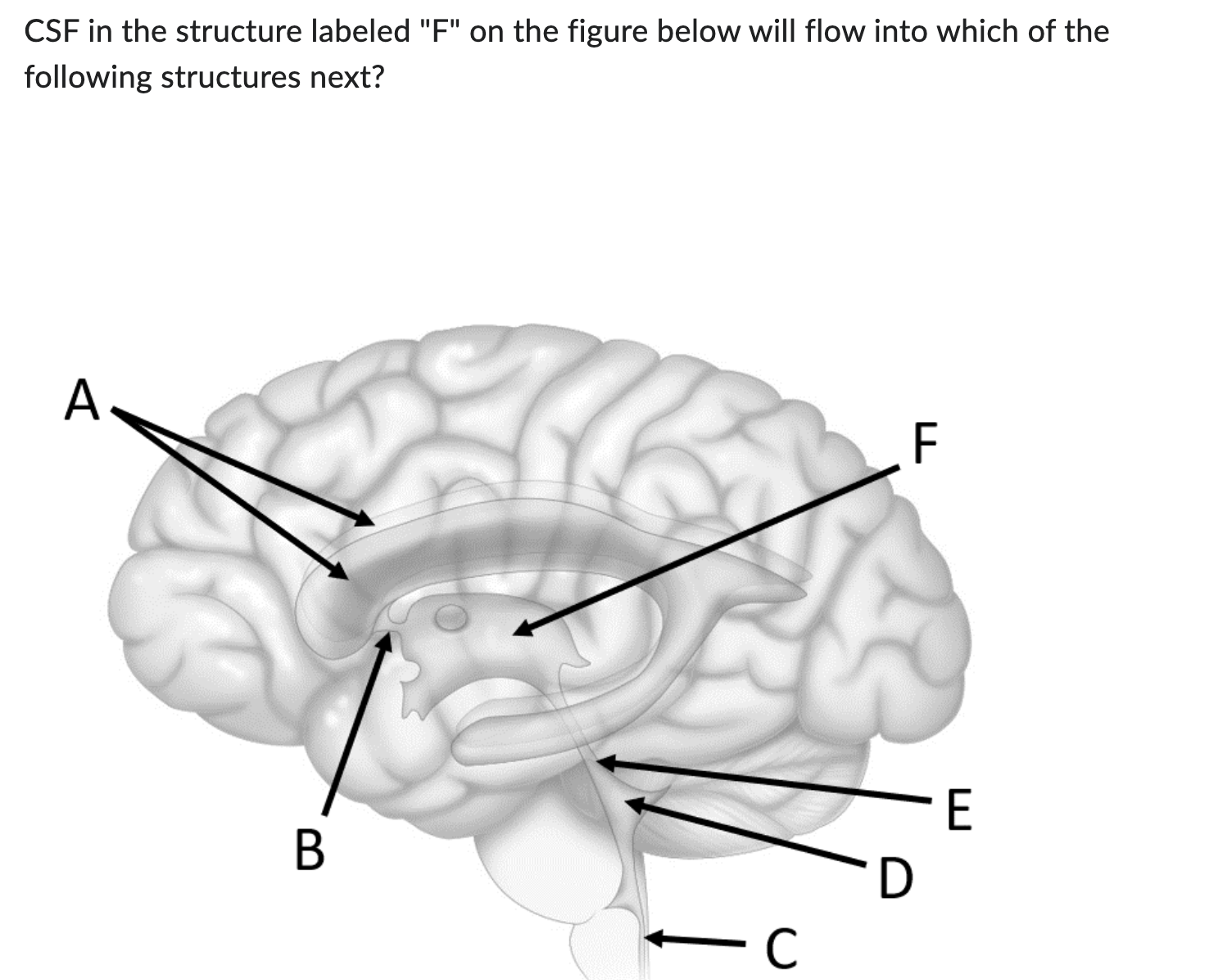 Solved CSF in the structure labeled "F" ﻿on the figure below | Chegg.com
