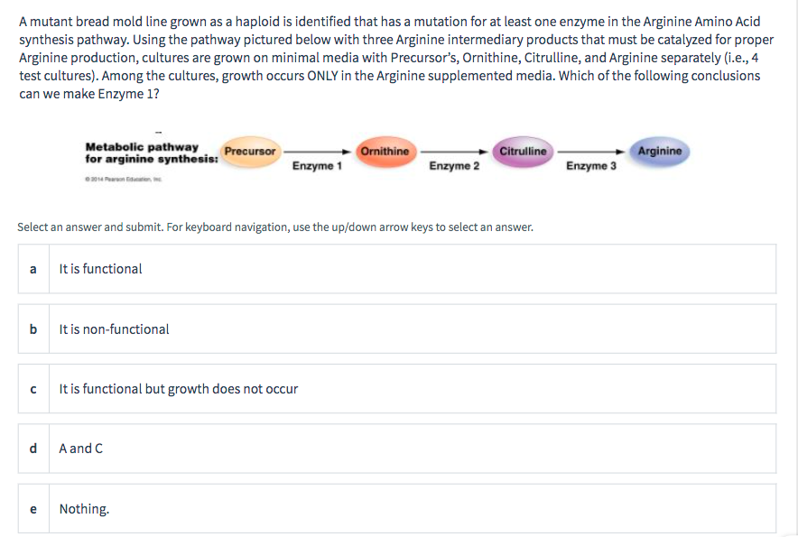 Solved A mutant bread mold line grown as a haploid is | Chegg.com