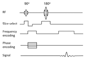 MRI Question: This is a pulse sequence. Describe how | Chegg.com