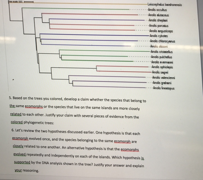 Solved Based on the trees you colored, develop a claim | Chegg.com