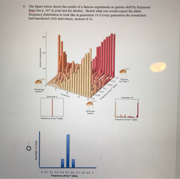 Solved The bottom graph is the correct answer but I dont | Chegg.com