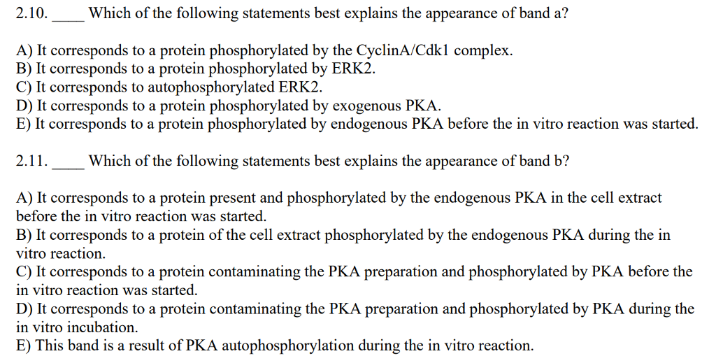 Solved As you know, protein kinase A phosphorylates amino | Chegg.com