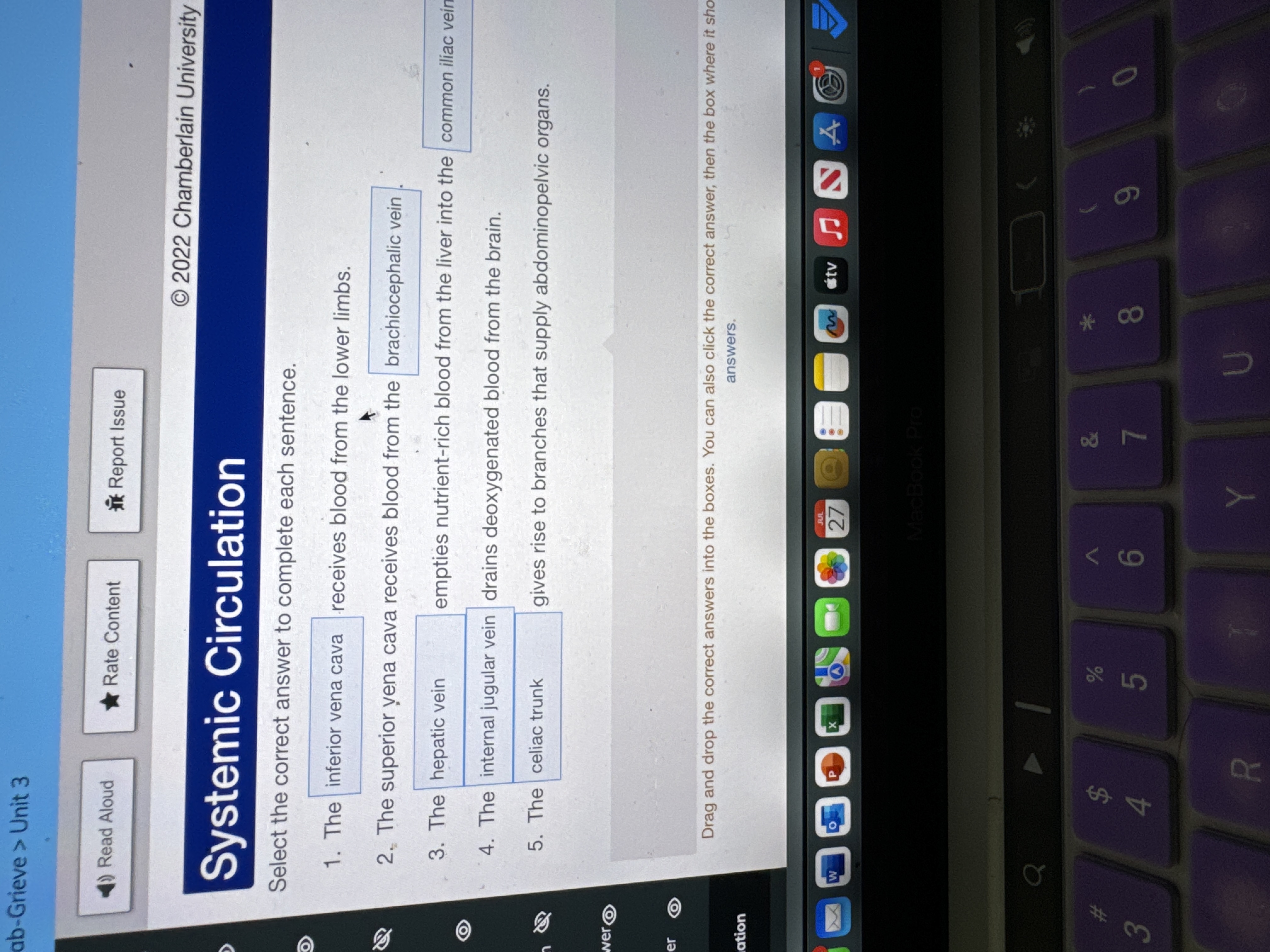 Solved Systemic CirculationSelect the correct answer to | Chegg.com