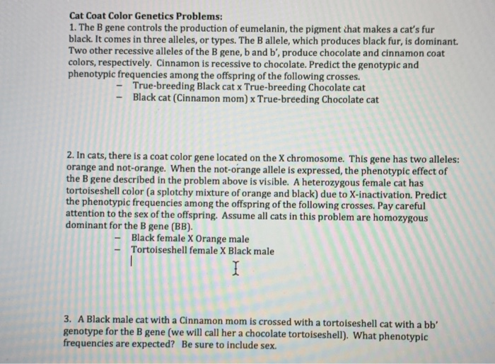 Solved Cat Coat Color Genetics Problems: 1. The B gene | Chegg.com