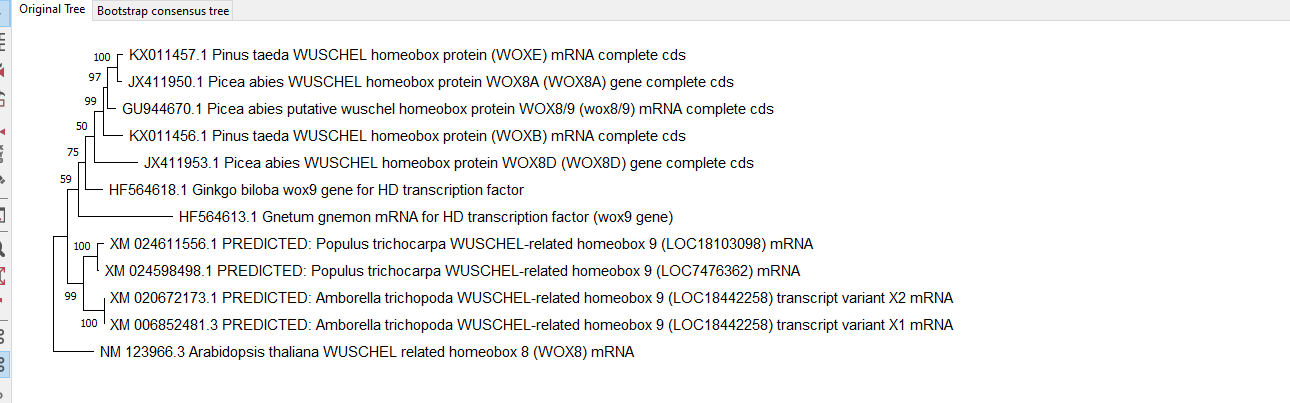 Original Tree Bootstrap consensus tree 99 50 59 100 | Chegg.com
