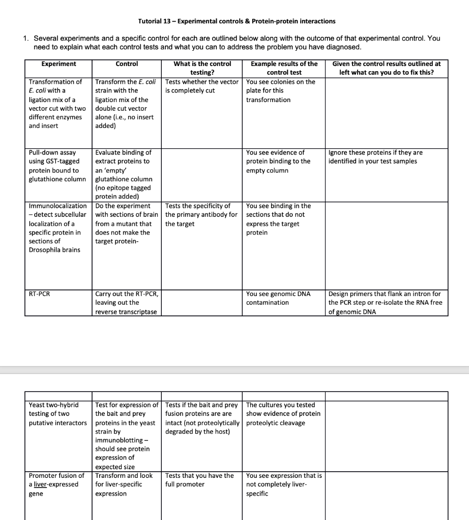 Tutorial 13 - Experimental controls & Protein-protein | Chegg.com