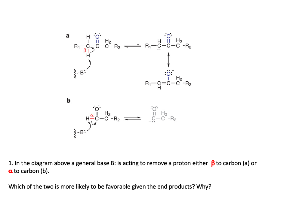 Solved b 1. In the diagram above a general base B : is | Chegg.com