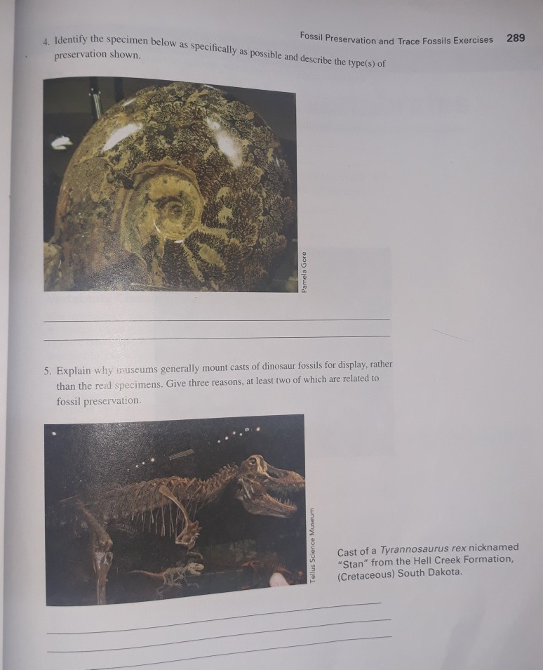 servation and Trace Fossils Exercises 6. Examine the | Chegg.com