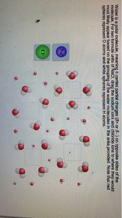 Solved Describe the charge distribution in this molecule. NF | Chegg.com