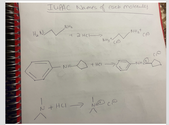 Solved N + HCl 7 IUPAC Names of each molecully NH2 ,N Hat H₂ | Chegg.com