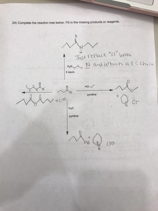 Solved 24) Complete the reaction tree below. ill in the | Chegg.com