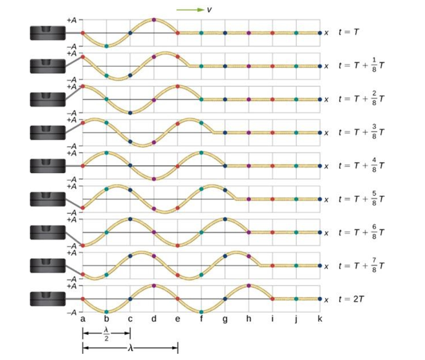 Solved Light can be modelled as transverse wave. Use MATLAB | Chegg.com
