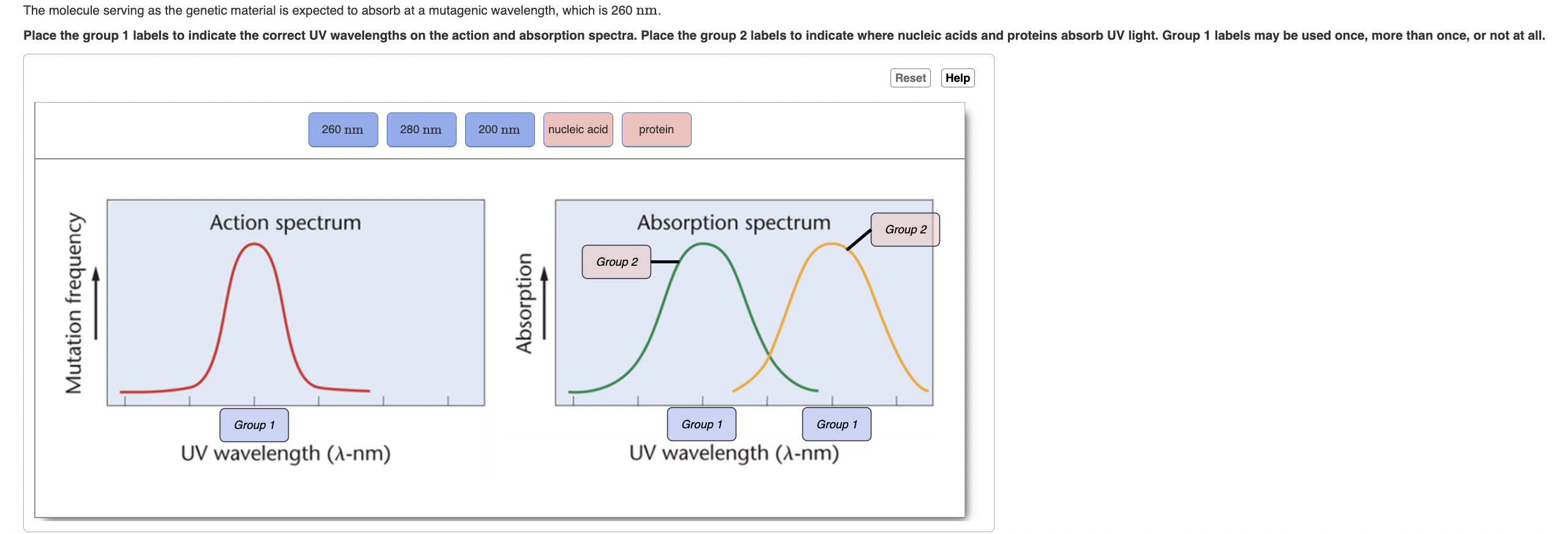 Solved The molecule serving as the genetic material is | Chegg.com