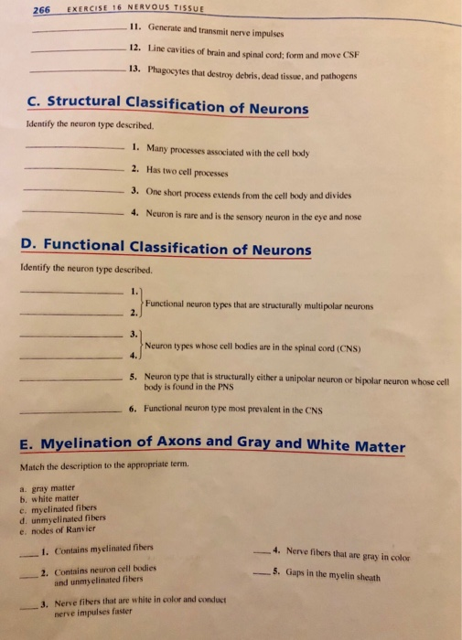 Solved Name Date Reviewing Your Knowledge EXERCISE 16 A. | Chegg.com