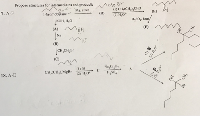 Solved Propose structures for intermediates and products AM9 | Chegg.com Solved Propose structures for intermediates and products AM9 | Chegg.com