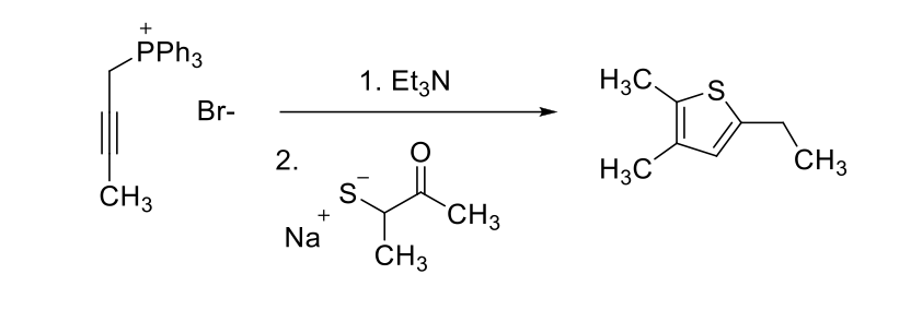 Solved PPh3 1. Et3N H3C. S Br- H3C CH3 CH3 2. S. + CH3 Na | Chegg.com