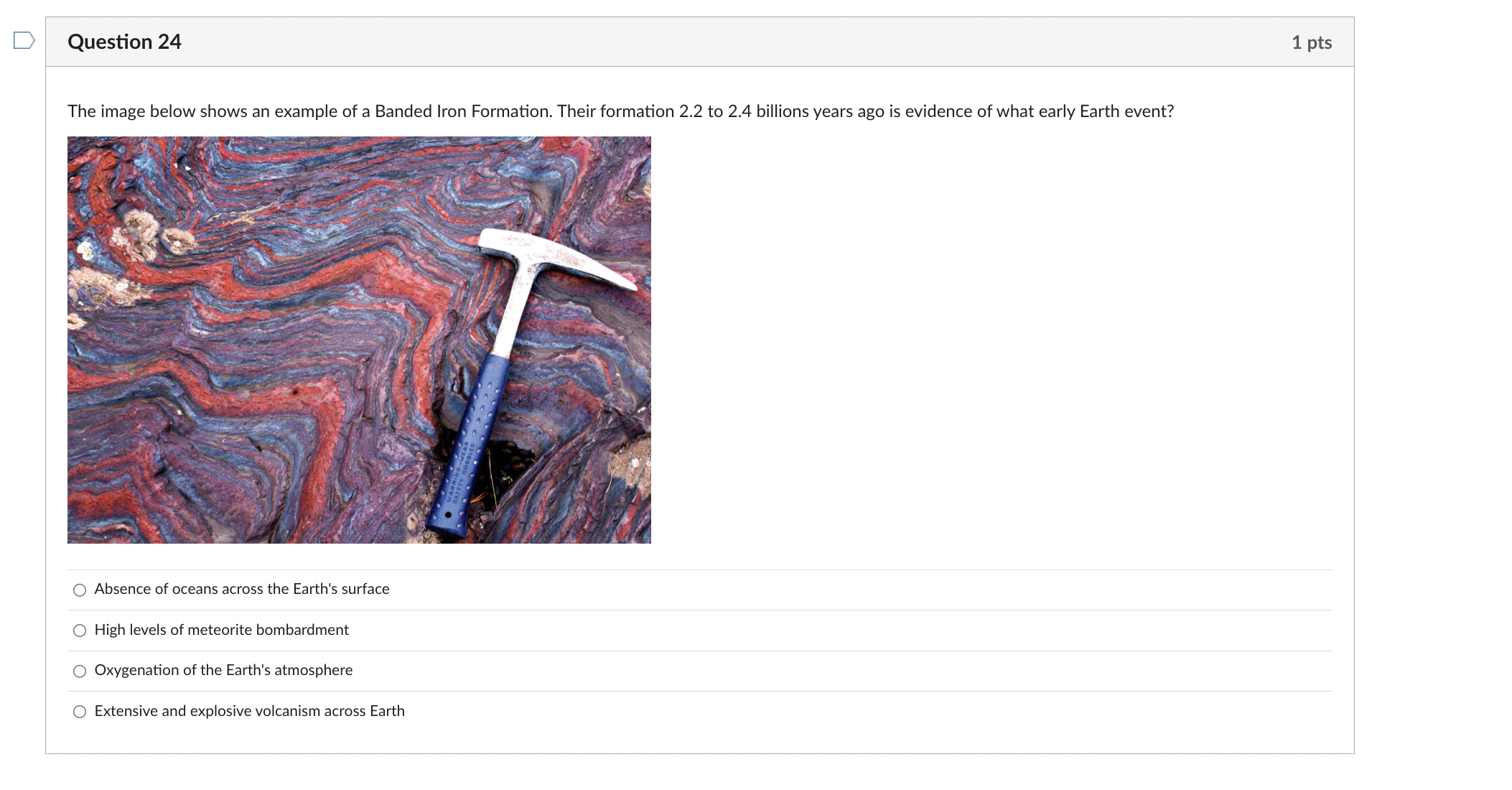 Solved Question 241 ﻿ptsThe image below shows an example of | Chegg.com