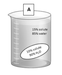 Solved In beaker A shown below, the oval represents an | Chegg.com