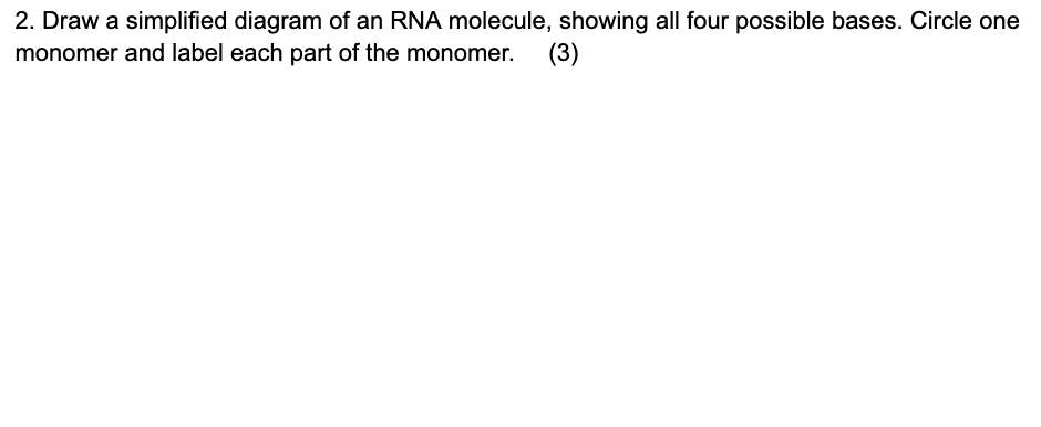 Solved 2 Draw A Simplified Diagram Of An Rna Molecule