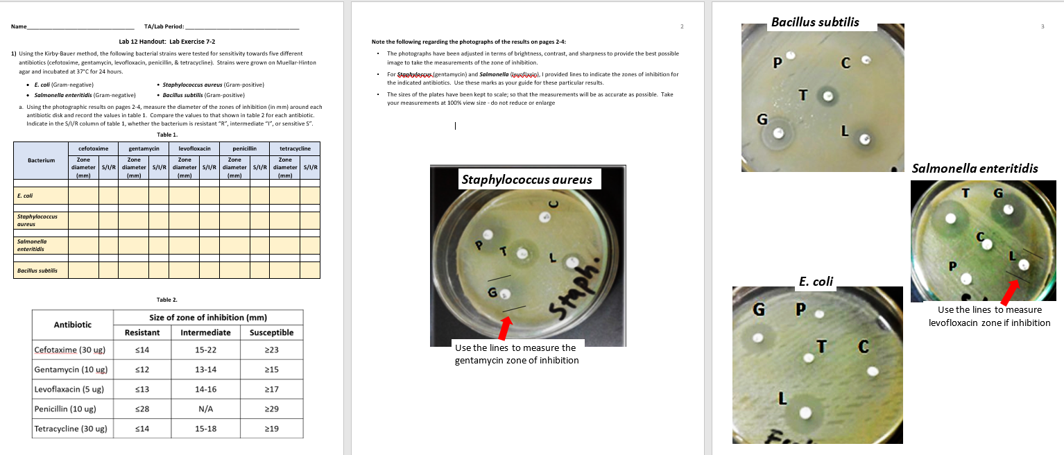 Solved Can someone answer number one please Using the | Chegg.com