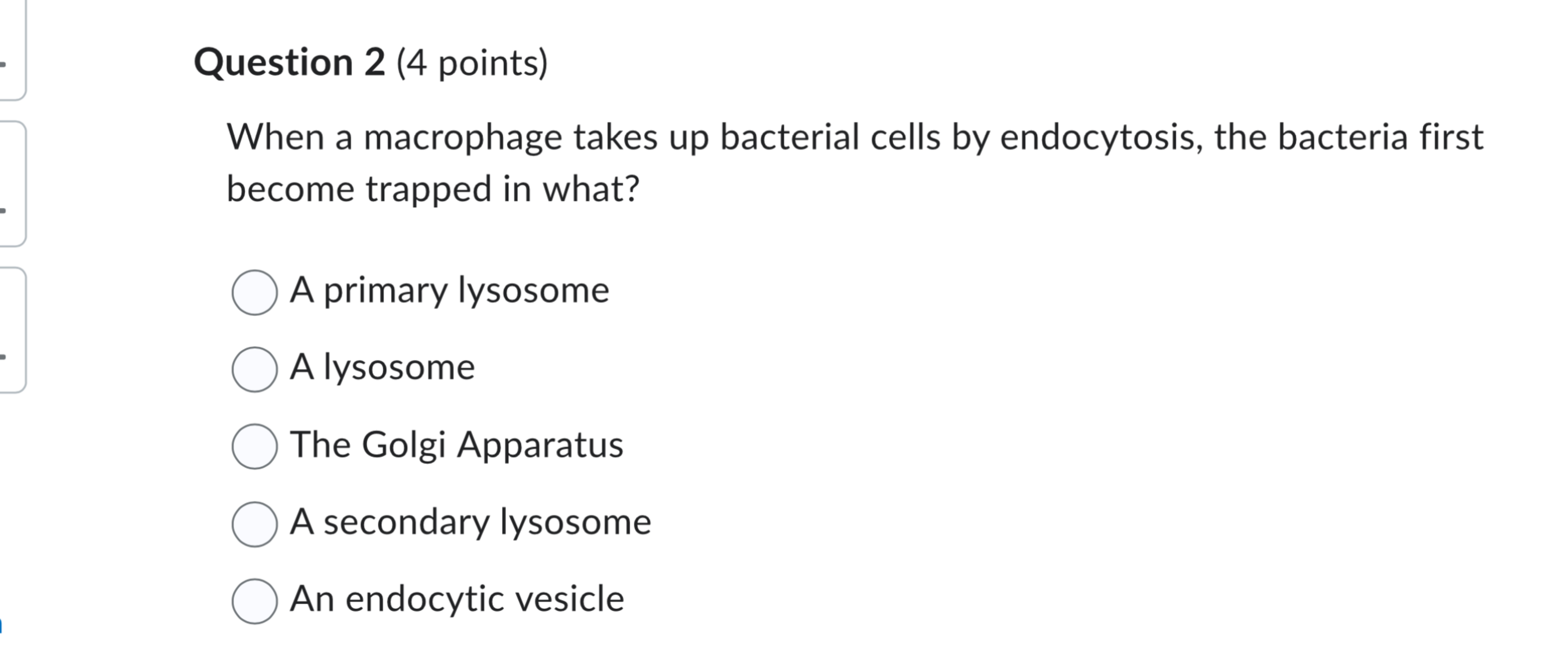 Solved Question 2 (4 ﻿points) ﻿When a macrophage takes up | Chegg.com