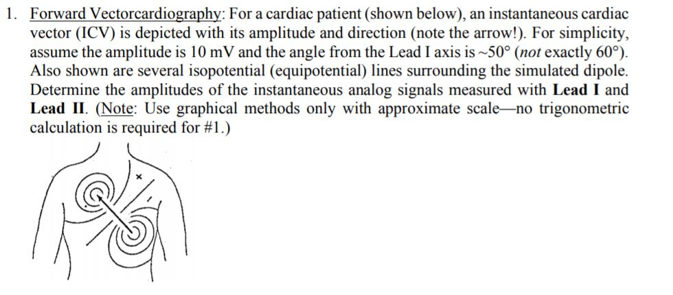 Forward Vectorcardiography: For a cardiac patient | Chegg.com