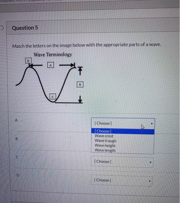 Solved Question 5 Match the letters on the image below with | Chegg.com