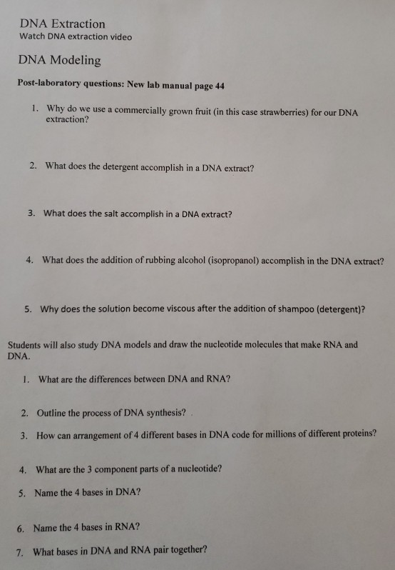 Solved DNA Extraction Watch DNA extraction video DNA | Chegg.com