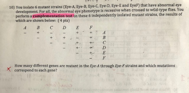Solved 10) You isolate 6 mutant strains (Eye-A, Eye-B, | Chegg.com