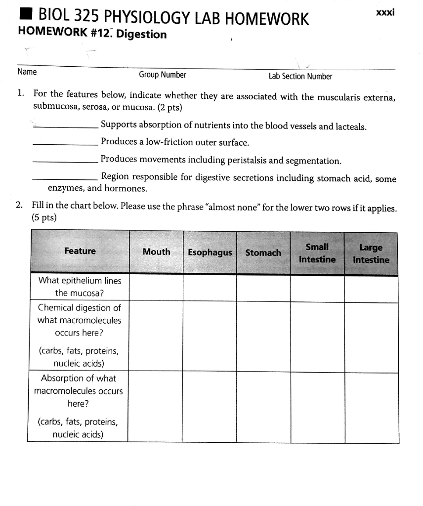 Solved BIOL 325 PHYSIOLOGY LAB HOMEWORK HOMEWORK #12. | Chegg.com