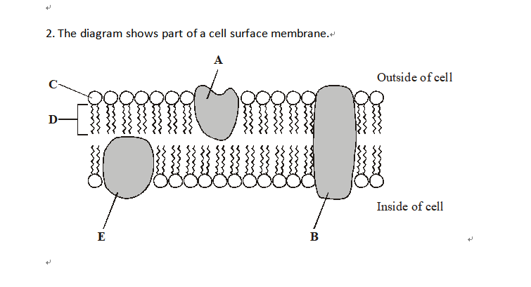 Solved 2. The diagram shows part of a cell surface | Chegg.com