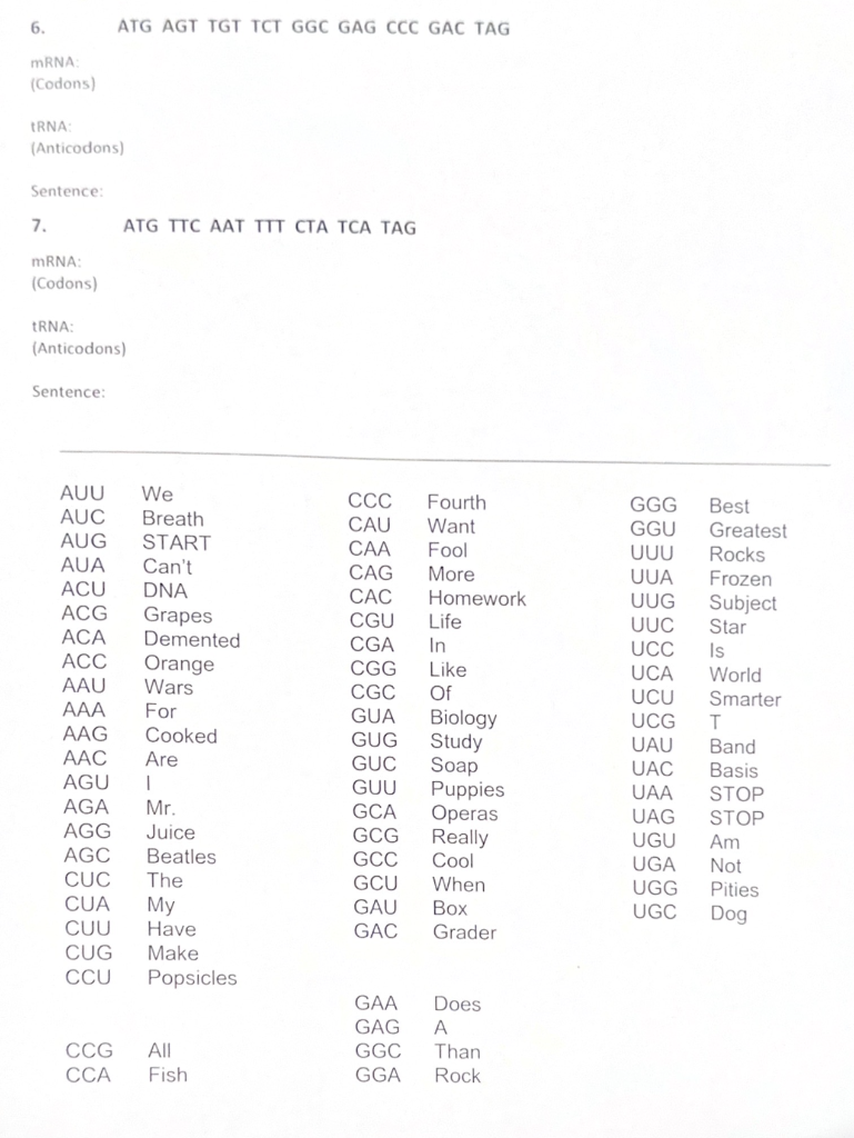 Solved 1. ATG ATT AAC CCG ACA GIT TAA mRNA: (Codons) IRNA: | Chegg.com