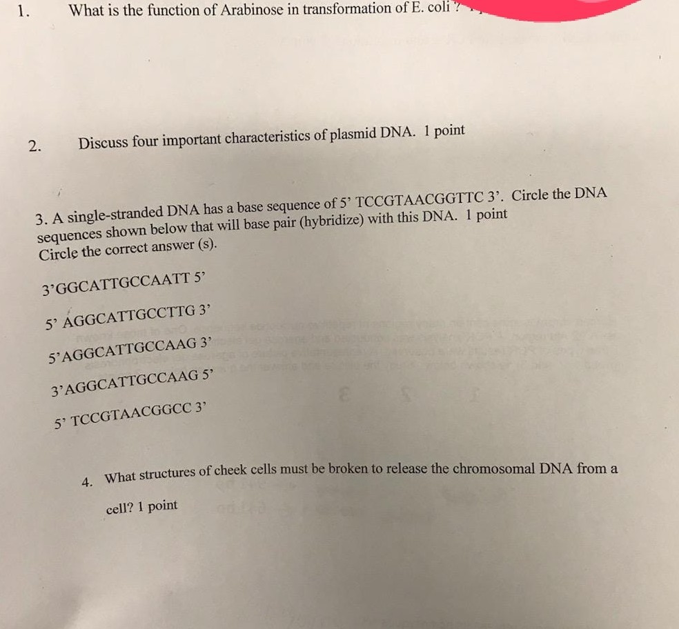 Solved 1. What is the function of Arabinose in | Chegg.com